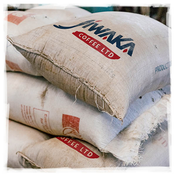 About us :: jiwakacoffeepng